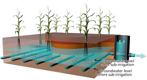 Underground Irrigation System Reduces Water Consumption By A Quarter