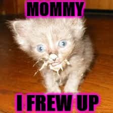 I Frew Up Memes And S Imgflip