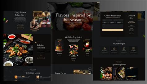 Webdevelopment Webdesigning Coding Nasir Talib