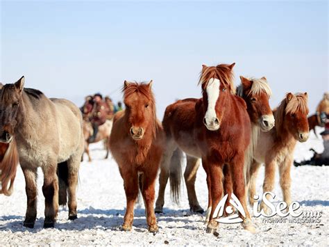 Мал аж ахуйн салбарт 30 сая ам долларын зээл олгоно Isee Mn