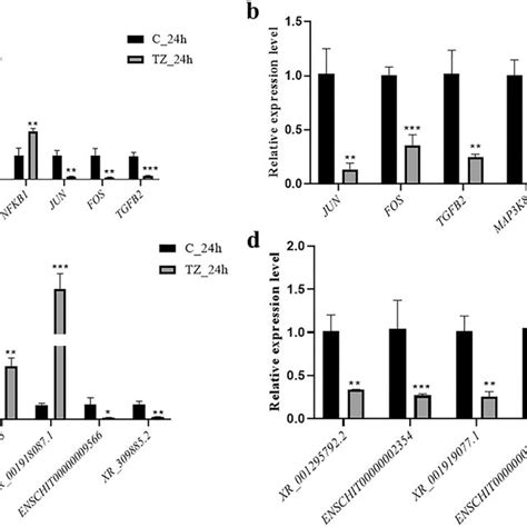 Differentially Expressed Lncrnas Delncrnas And Hierarchical