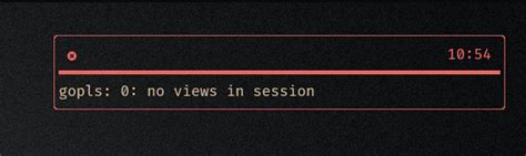 custom gopls config error loading workspace folders · issue 86