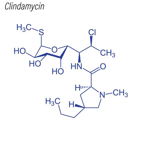 Vector Skeletal Formula Of Clindamycin 6740813 Vector Art At Vecteezy