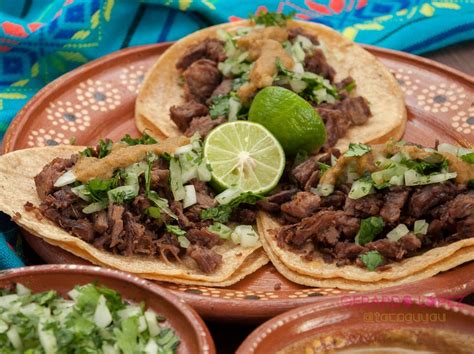 Suadero Tacos Gerardo Lopez