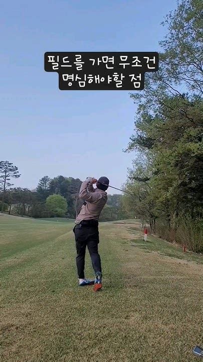 잊지말자 골프는 공을 홀컵에 넣는 운동이지 피겨나 발레처럼 스윙 폼을 보면서 미적 점수를 부여하는 운동이 아니다 Youtube
