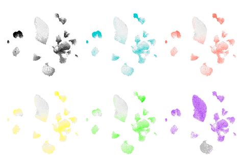 Vignettes Overview • Hdwgcna