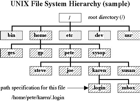 Working With The File System