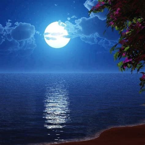 Dalia Mohamed Professor Full Professor Of Histology And Cell Biology Research Profile