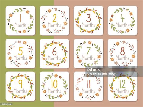 고립 된 배경에 꽃 화환에있는 아기 마일스톤 월 카드 세트 엽서 인사말 카드 포스터 개념 전단지 카드 디자인 스티커에 대한 스톡 벡터 아트 및 기타 이미지 Istock