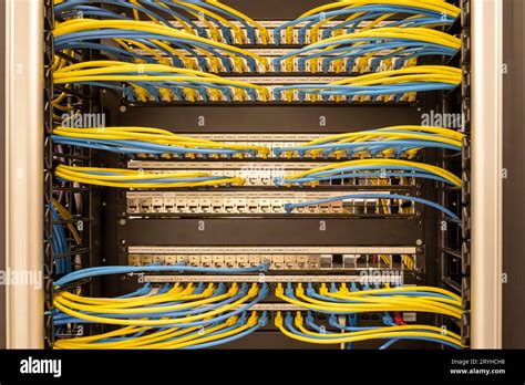 tidy patched network cables rj45 connected to the switches and