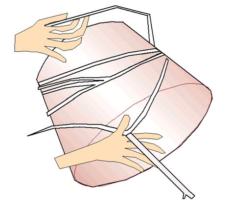 VTF How To Plant A Container Grown Tree