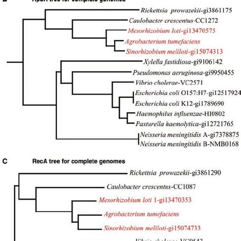 Comparisons With Fully Sequenced Genomes A Distribution Of Best Download Scientific
