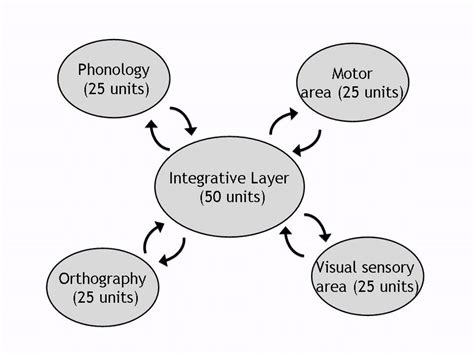 The Integrative Layer Model Of Embodied Cognition Download Scientific Diagram