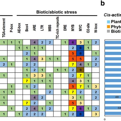 Analysis Of Cis Acting Element Numbers In Ctnf Yb Genes A The