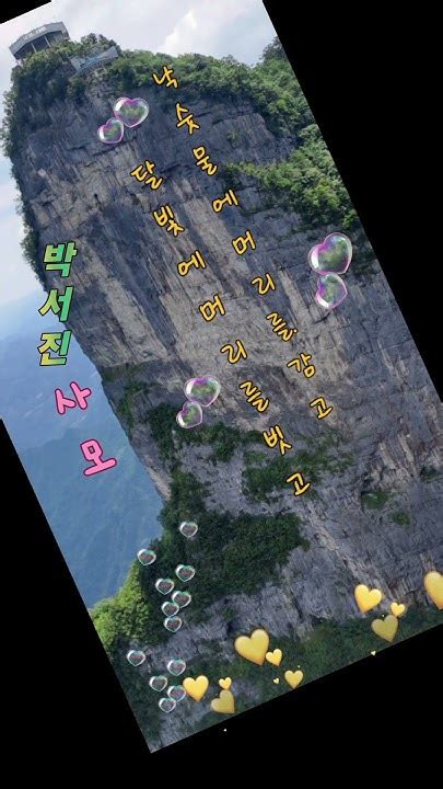 꽃길로오소서🌹 사모 박서진 기다림 Kpop Music Shorts Youtube