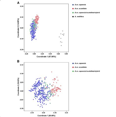 Clustering Pattern Obtained By Discriminant Analysis Of Principal