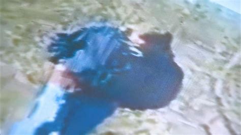 Former Fbi Agent Analyses Voices Heard In Delphi Murders ‘bridge Guy
