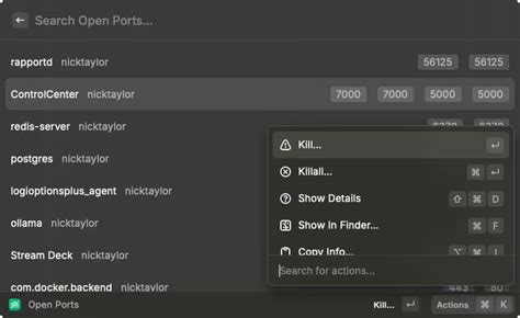 The Raycast Port Manager Extension Just Some Dev
