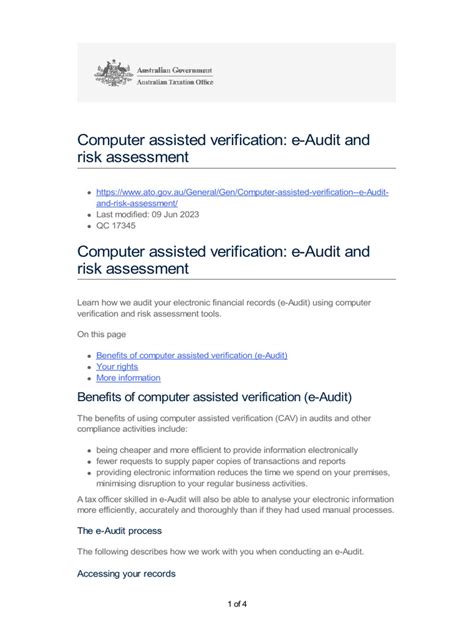 computer assisted verification e audit and risk assessment pdf