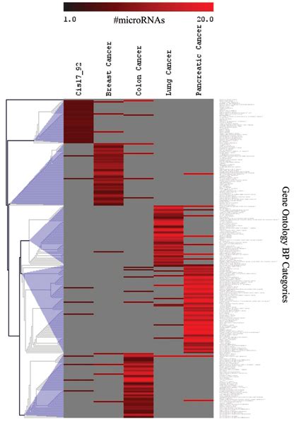 Heatmap Of Unsupervised Hierarchical Clustering Of A Subset Of Go