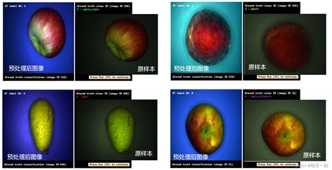 水果分类 halcon详细说明 基于halcon的苹果分类研究 csdn博客