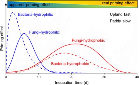 A Conceptual Overview Of The Priming Effect Pe Evoked By Bacteria And