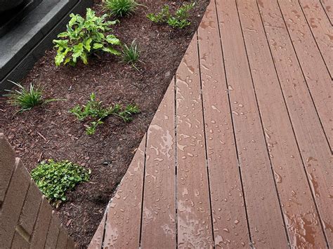 Why Pine Decking Is The Practical And Affordable Choice For Australian