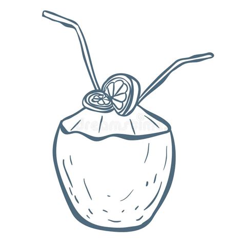 Illustration Of Coconut Cocktail Vector Graphic Stock Vector