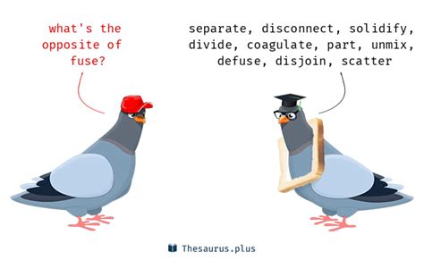 More 50 Fuse Antonyms Full List Of Opposite Words Of Fuse