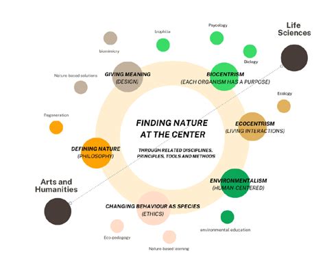 finding the nature at the center framework download scientific diagram