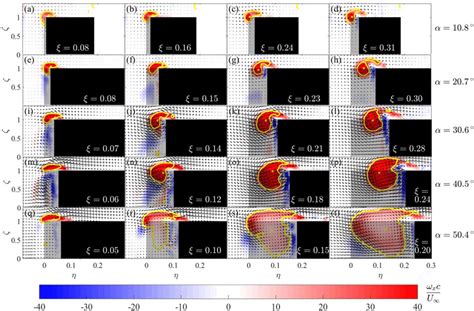 Vorticity Fields Superimposed On The Velocity Vectors At Different