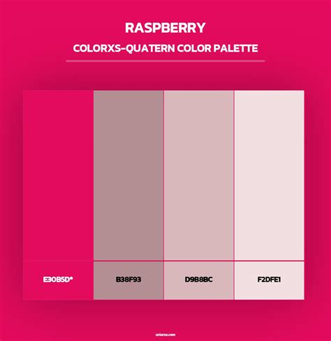 Raspberry Color Palettes