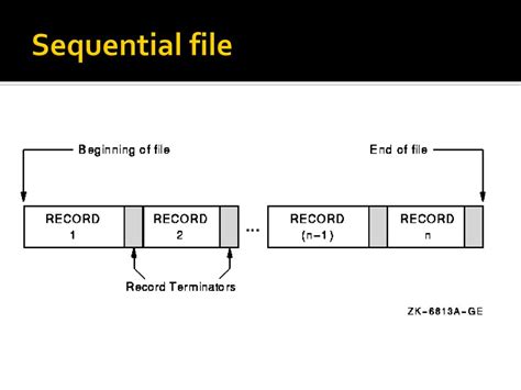 Unit Databases Ppt Download