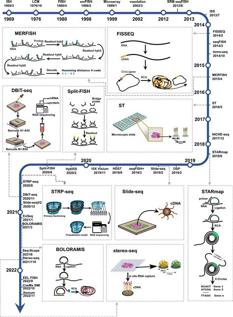 A Guidebook Of Spatial Transcriptomic Technologies Data Resources And