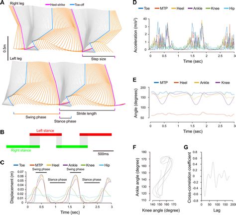 Examples Of Combined Kinematic And Emg Or Goniometer Signals A Stick Download Scientific