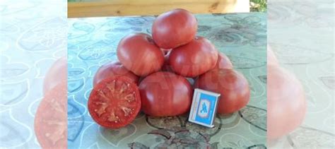 Семена томатов купить в Волгограде | Товары для дома и дачи | Авито