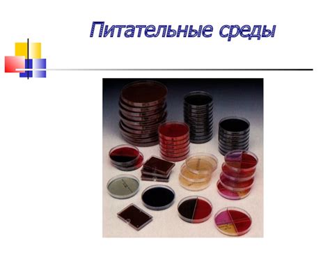 Питательные среды