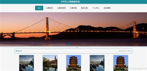 java vue计算机毕设大学生心理健康系统【源码 开题 论文 程序】 csdn博客
