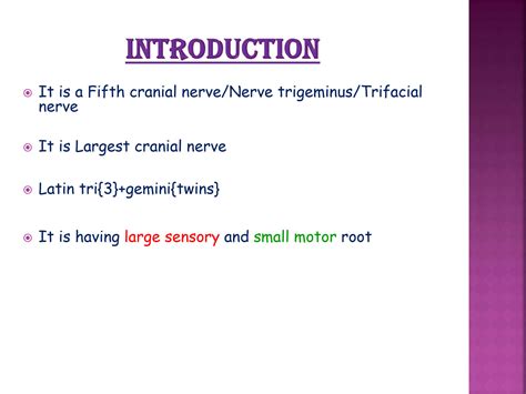 Solution Trigeminal Nerve Studypool Solution Trigeminal Nerve Studypool