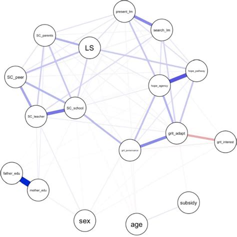 The Regularized Partial Correlation Network Of Developmental And