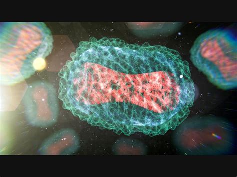 UNMC Tapped For Trial Of Monkeypox Treatment Omaha NE Patch