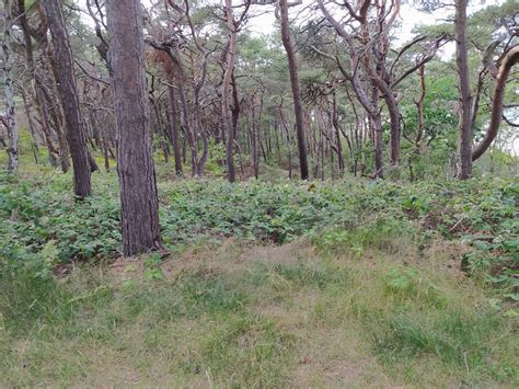 Libek 13 M Mierzeja Helska Horobraní