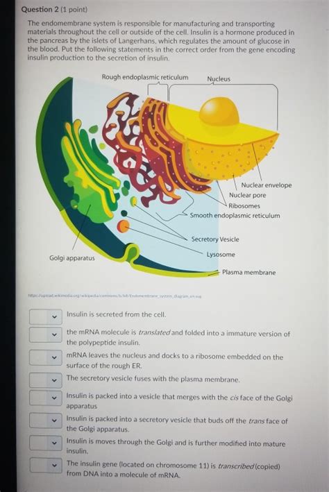 solved question 2 1 point the endomembrane system is