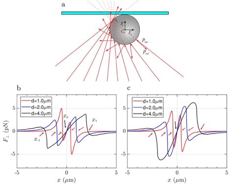 Optical Forces Acting On Carbon Microparticles Close To The Microcell Download Scientific