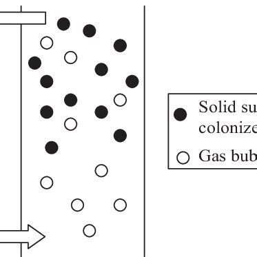 Schematic Representation Of The Bioreactor Download Scientific Diagram