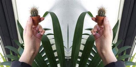 I Had Sex With A Man With A Micropenis The Size Of A Tampon Yourtango