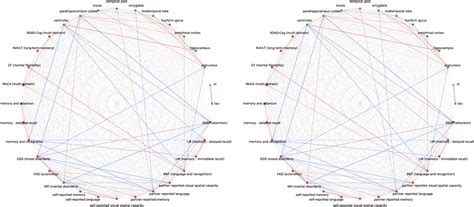left conditional correlation graph of the estimated cluster most