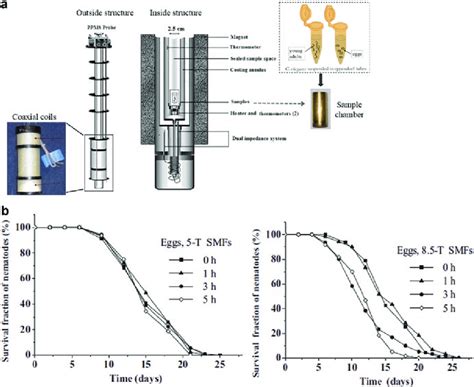 4 A A Schematic Diagram Of The Ppms Probe And Smf Exposure System Download Scientific Diagram