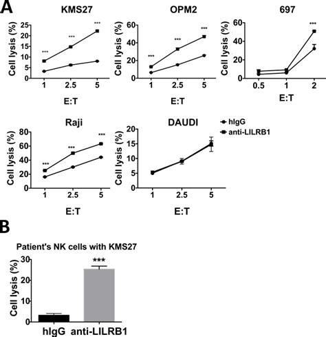 Antagonistic Anti Lilrb1 Monoclonal Antibody Regulates Antitumor