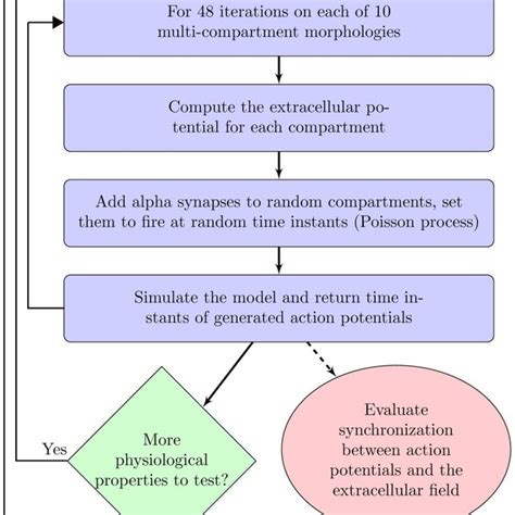 Flowchart Of The Computational Model Download Scientific Diagram